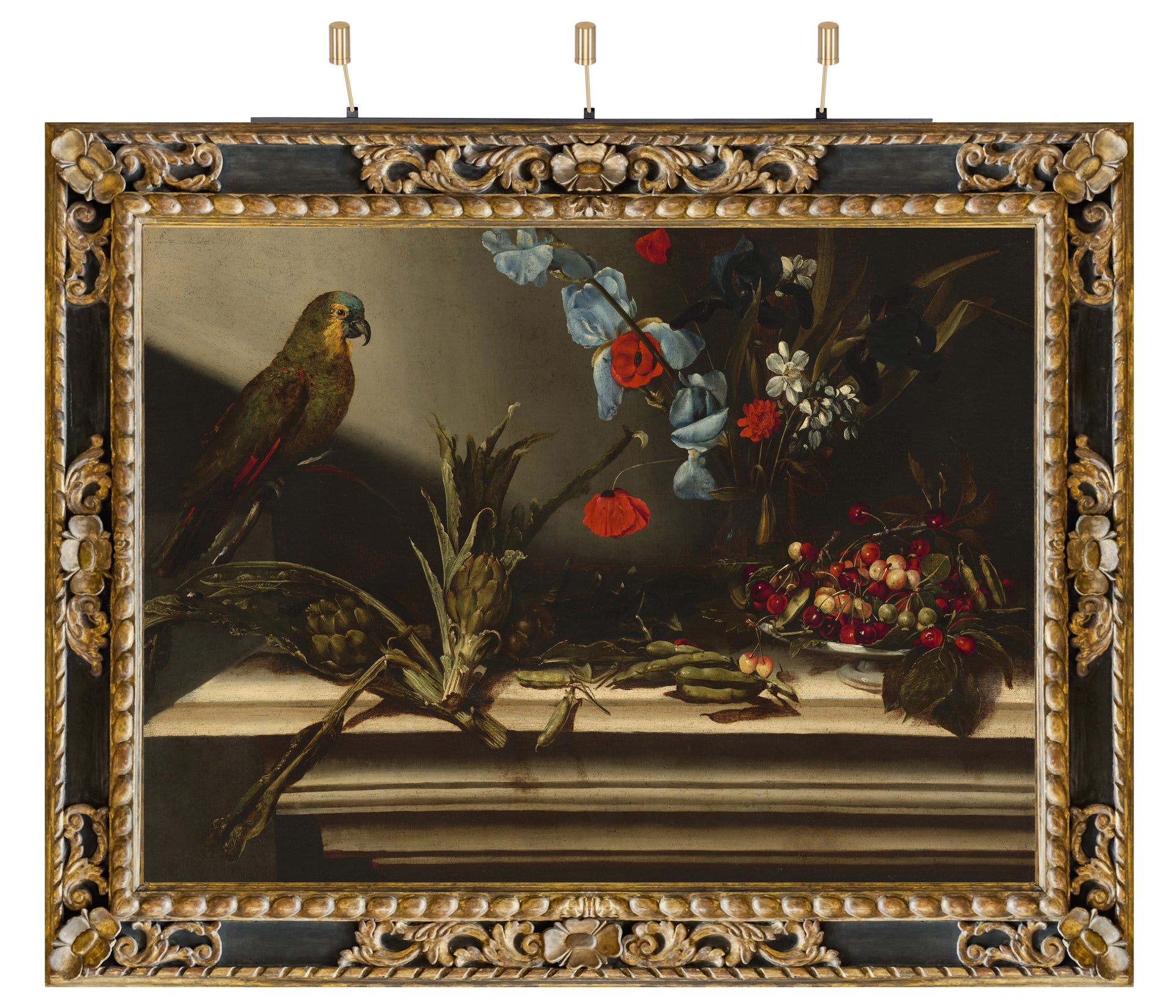 Plug-In LED Track Lighting for Artwork | Situ Art Lighting